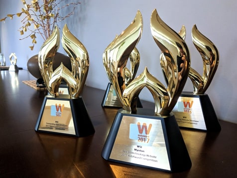 WSI Digital Marketing Franchise