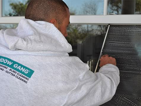 Window Gang Franchise