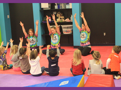 Romp n' Roll Education Franchise