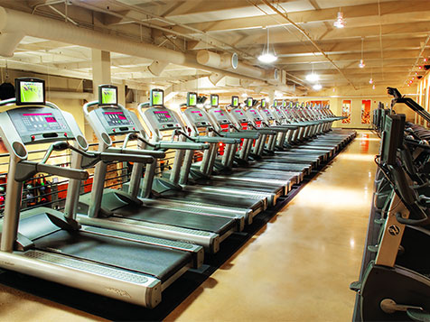 Fitness Evolution Fitness Franchise