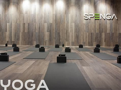 SPENGA Franchise | Franchise.com